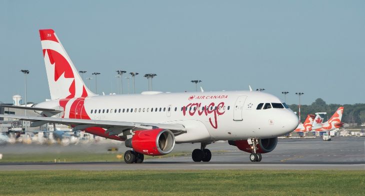 Air Canada Flight Turns Back After Ground Worker Trapped in Cargo Hold