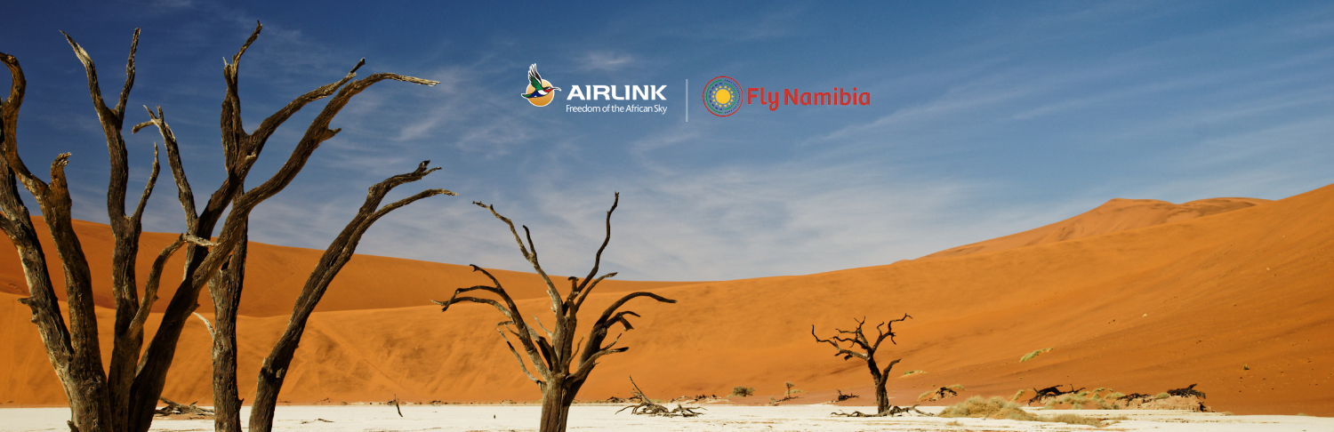 Airlink acquires 40% of FlyNamibia - AirGuide.info :: AirGuide Business ...