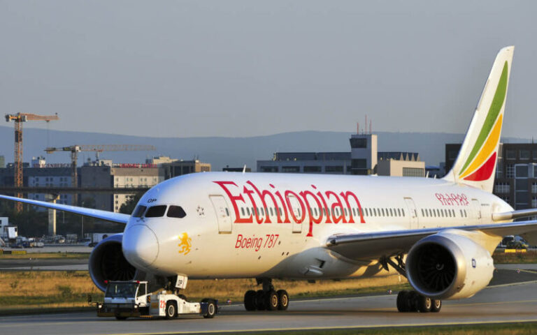 Ethiopia Volcano Erupts After 12,000 Years, Forcing Flight ...